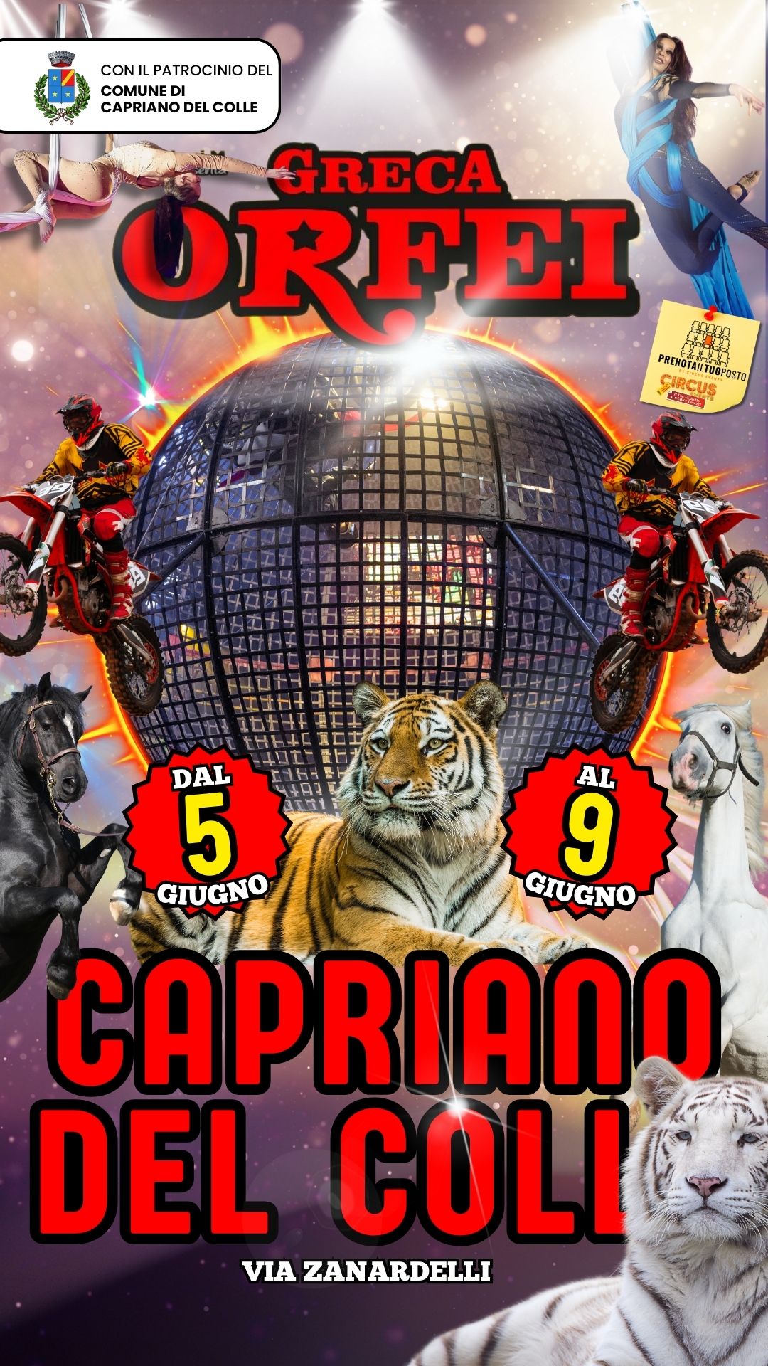 HOME ~ Circo Greca Orfei